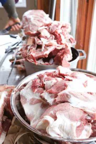 How Are Pigs Slaughtered on a Farm? - Grit